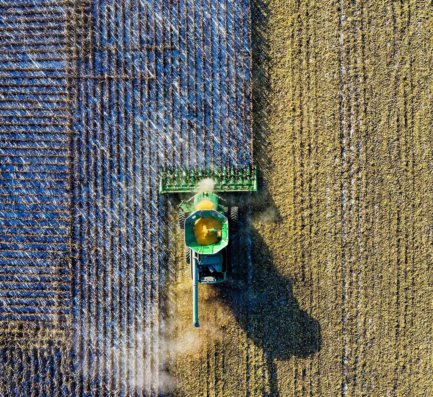 Ascend Partners | Success Story: Agribusiness